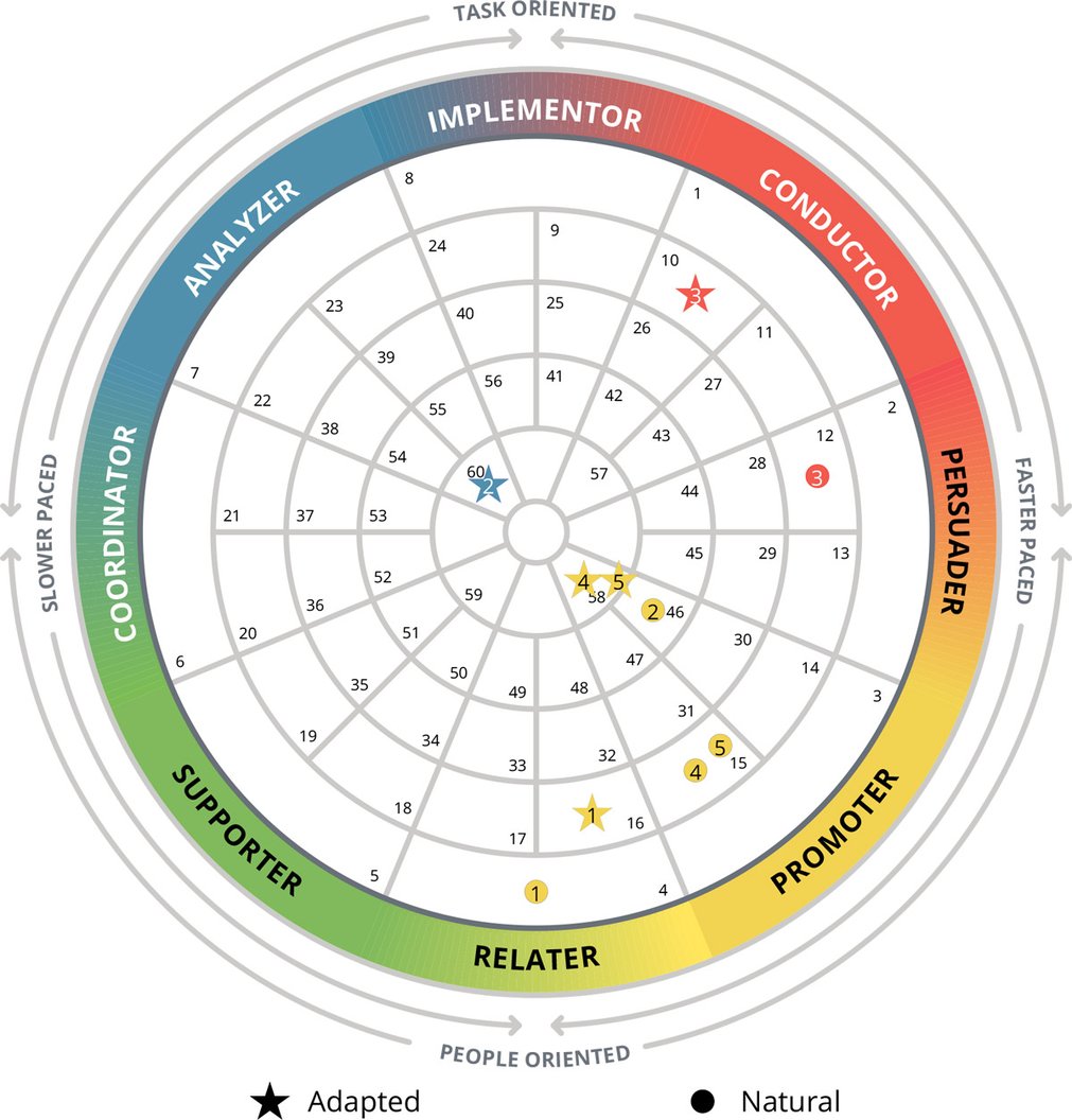 DISC: What You Need to Know