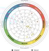 DISC: What You Need to Know