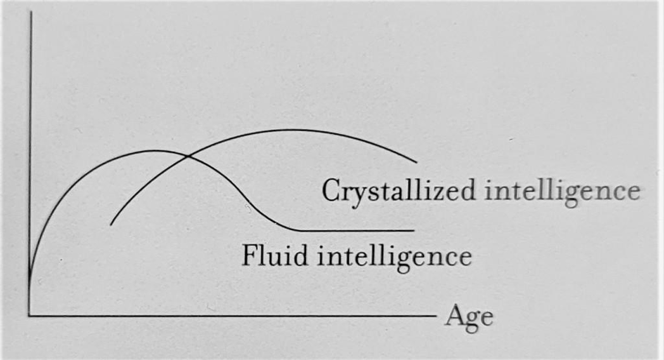 Overcoming Ageism in the Workplace: A Guide on Fluid and Crystalized Intelligence